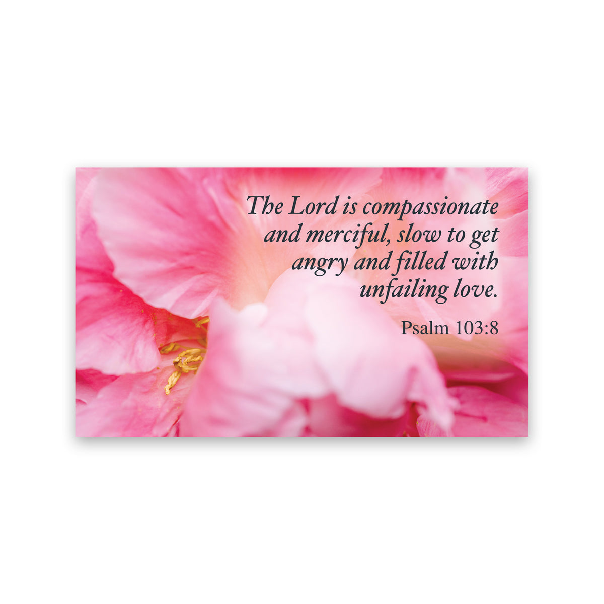 The Lord is compassionate, Psalm 103:8, Pass Along Scripture Cards, Pa ...